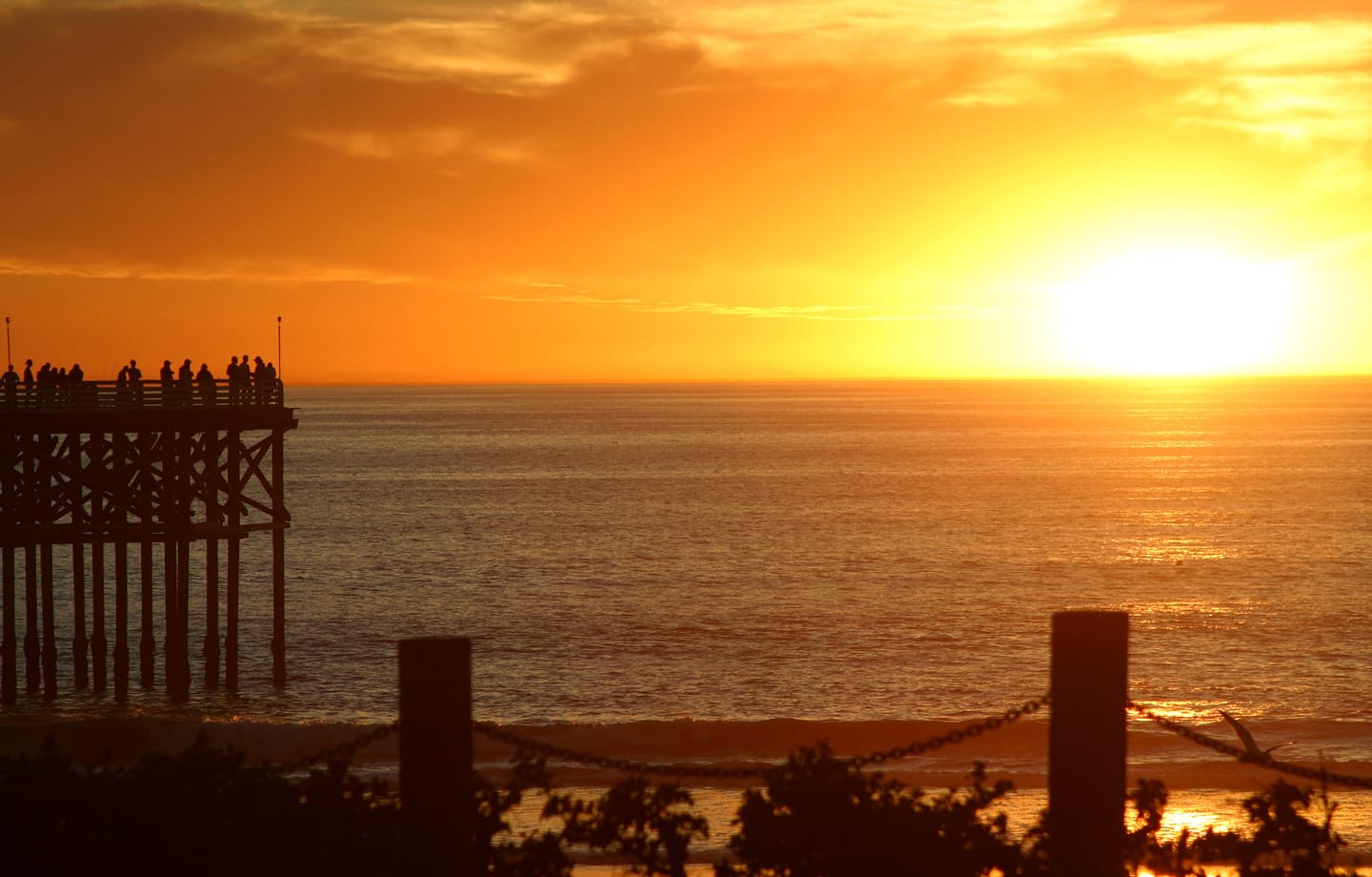 Exploring the Best San Diego Beaches: Where Sun, Sand, and Surf Come ...